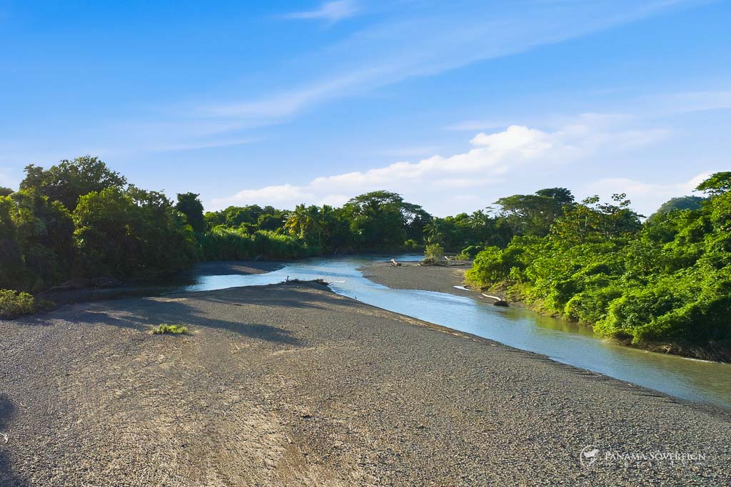 Lote junto al río en Playa Guánico | Panama Sovereign Realty