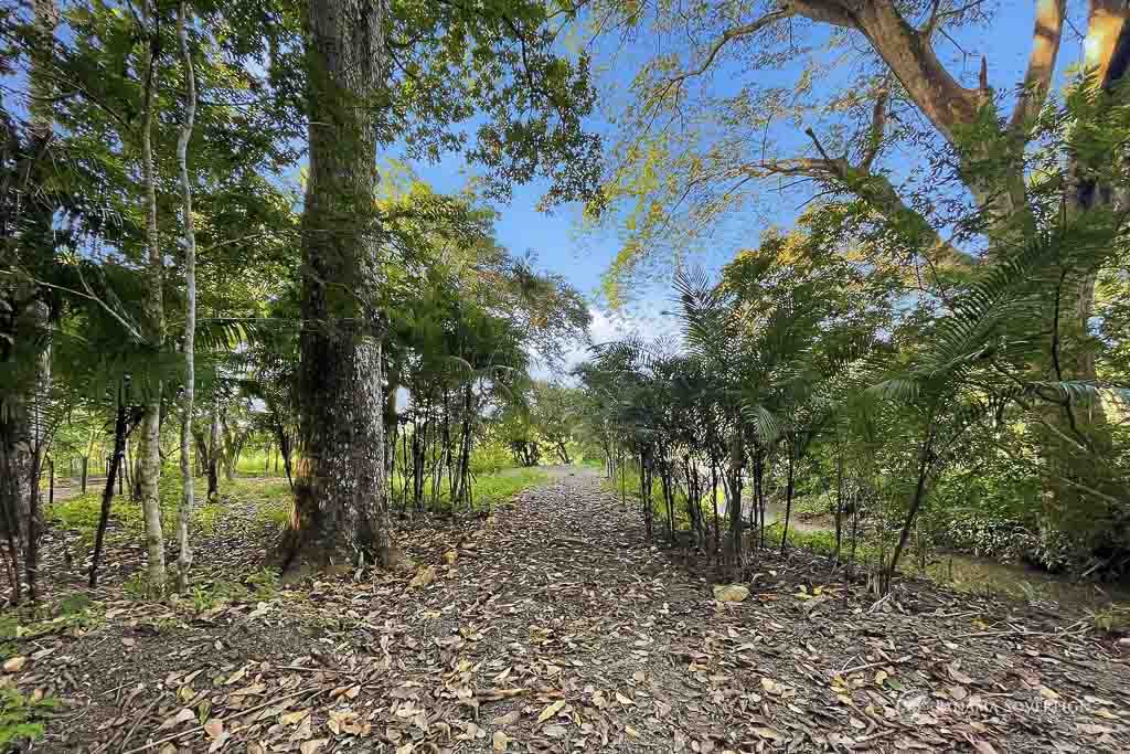 Riverside Lot in Playa Guanico | Panama Sovereign Realty