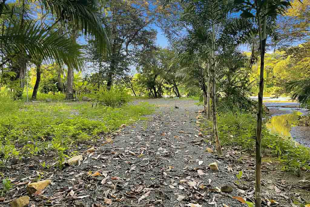 Riverside Lot in Playa Guanico | Panama Sovereign Realty
