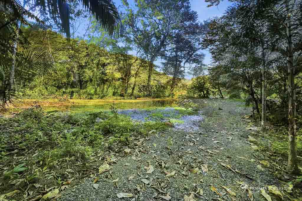 Riverside Lot in Playa Guanico | Panama Sovereign Realty