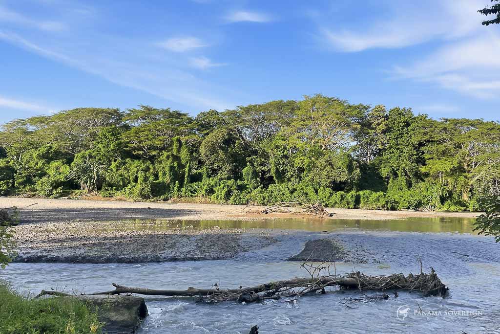 Riverside Lot in Playa Guanico | Panama Sovereign Realty